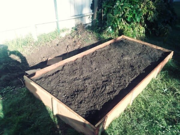 Lasagna Gardening 101