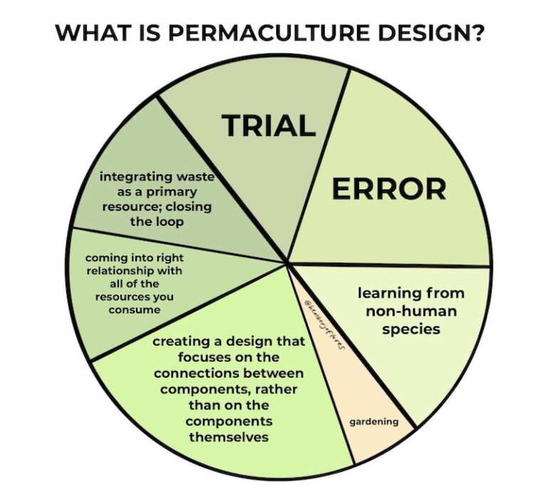 What Is Permaculture? A Definitive FAQ For Newbie Permies In 2023 (with ...