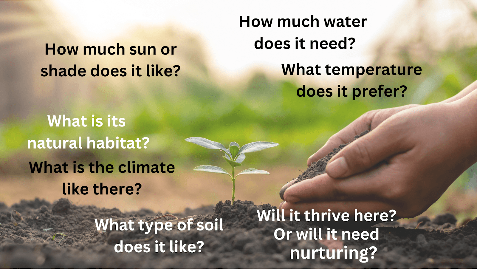 Can I Grow This Here? Plant Selection Basics